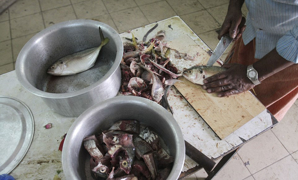 [PHOTOS] The Dark Side Of Dubai: Slave Labor, Long Hours, Desperate ...