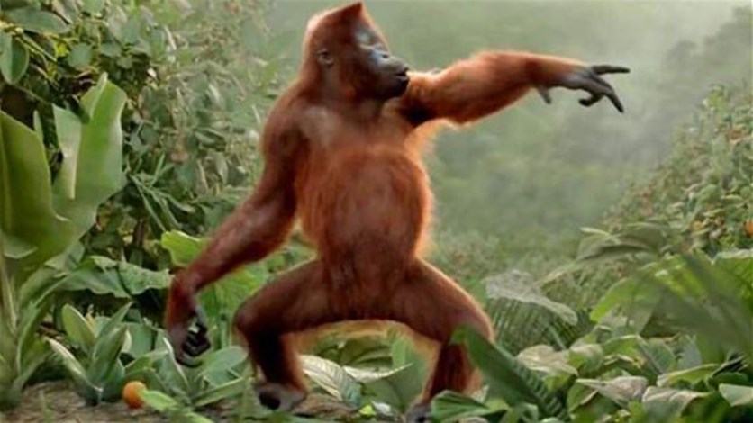 [VIDEO] Hilarious Footage Of A Dancing Orangutan Will Make Your Day ...