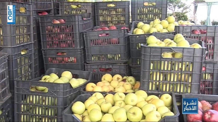 Lebanese apples to be exported to Jordan-[REPORT] - Lebanon - Lebanon