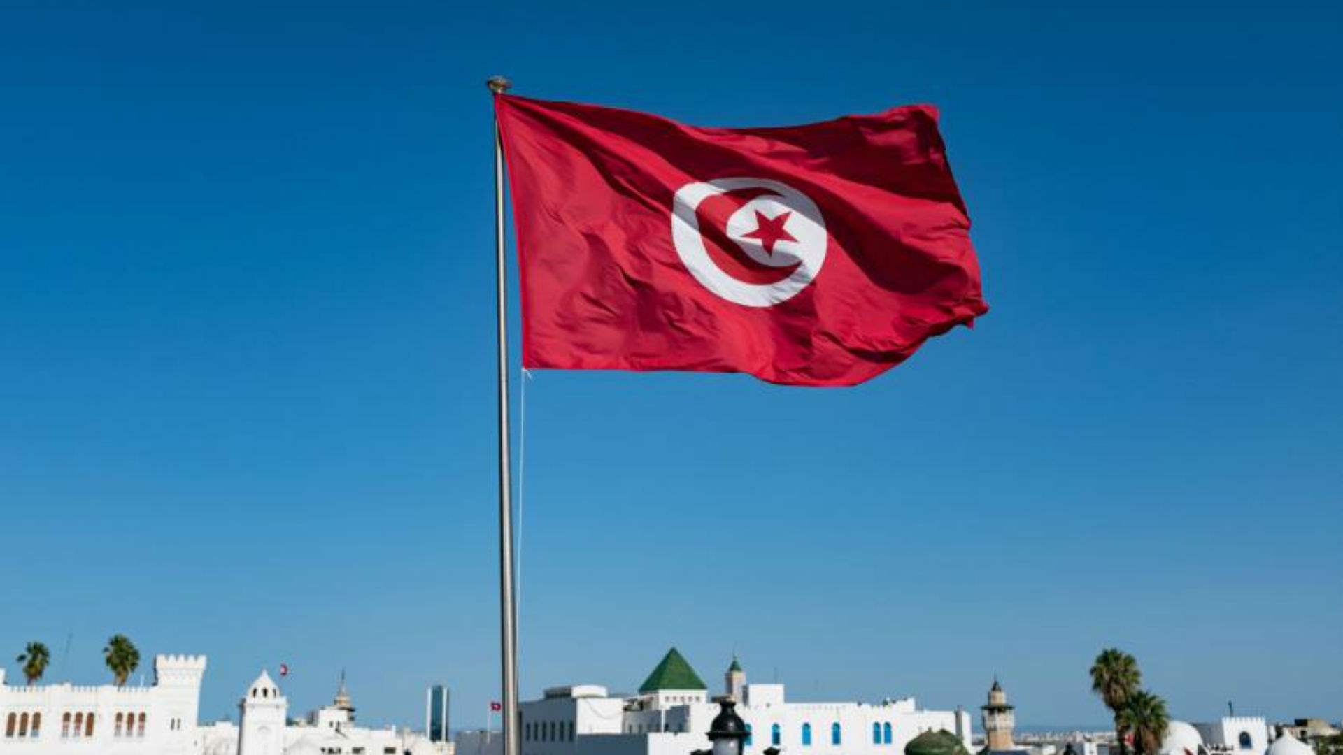 Tunisia security guard stabbed outside Brazil embassy - Lebanon News