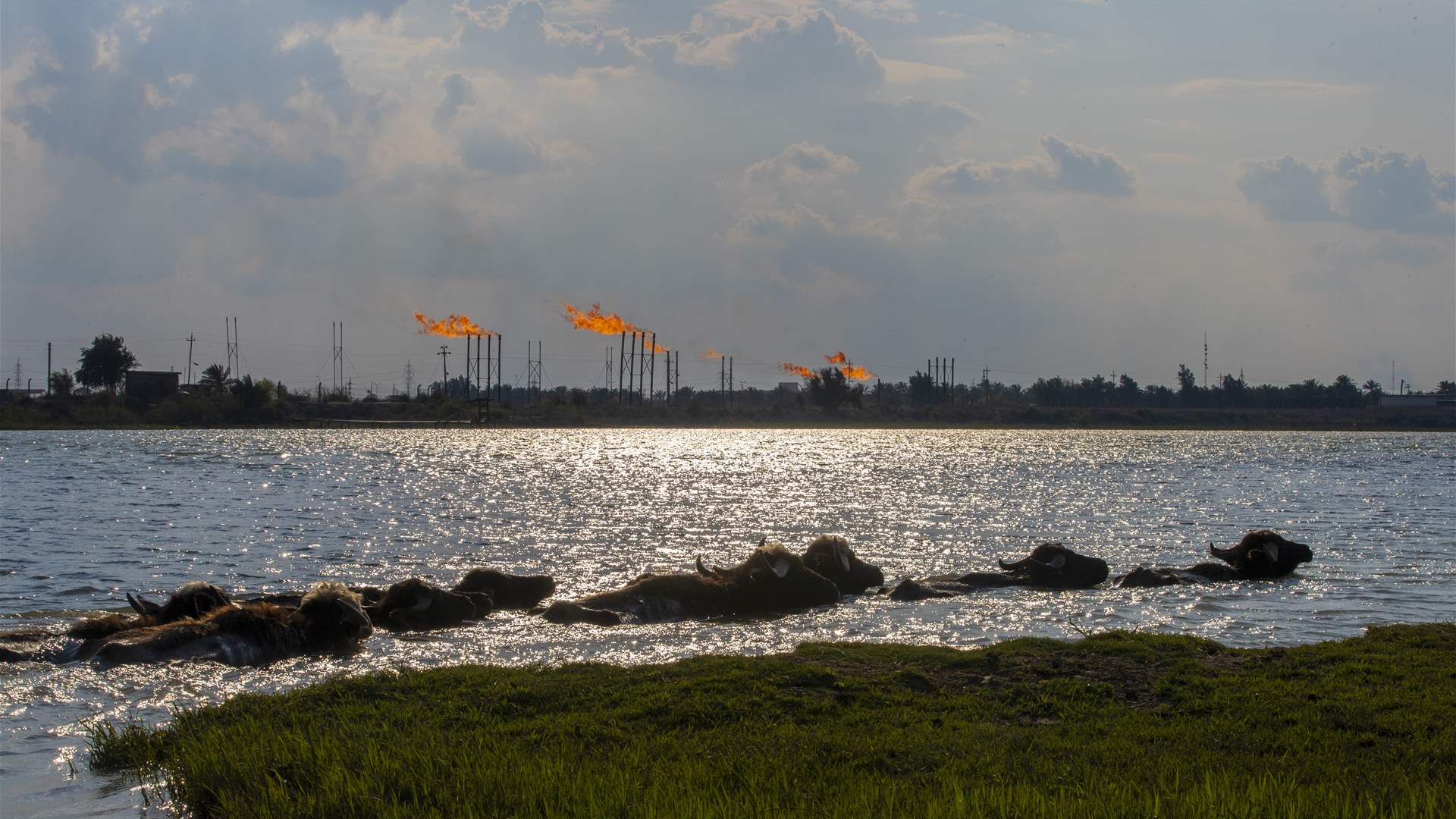 From darkness to light: Iraq overcomes electricity crisis amidst ...