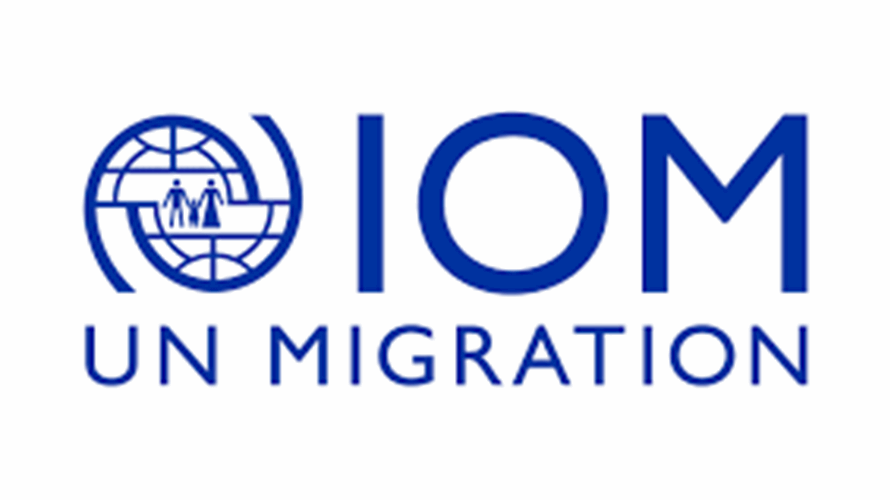 IOM: discovery of at least 65 migrant bodies in a mass grave in Libya ...