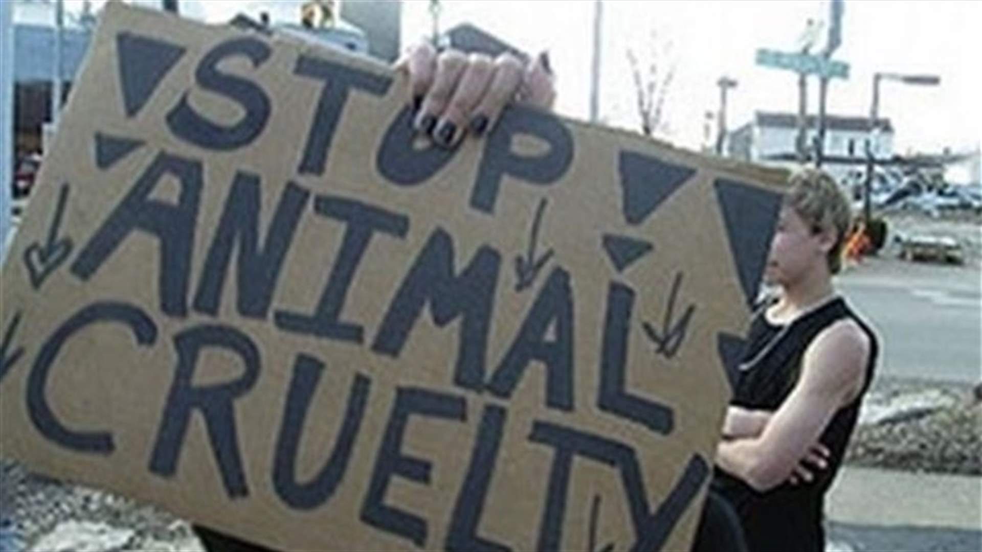 After boy mauled, Balkan animal cruelty in focus - Lebanon News