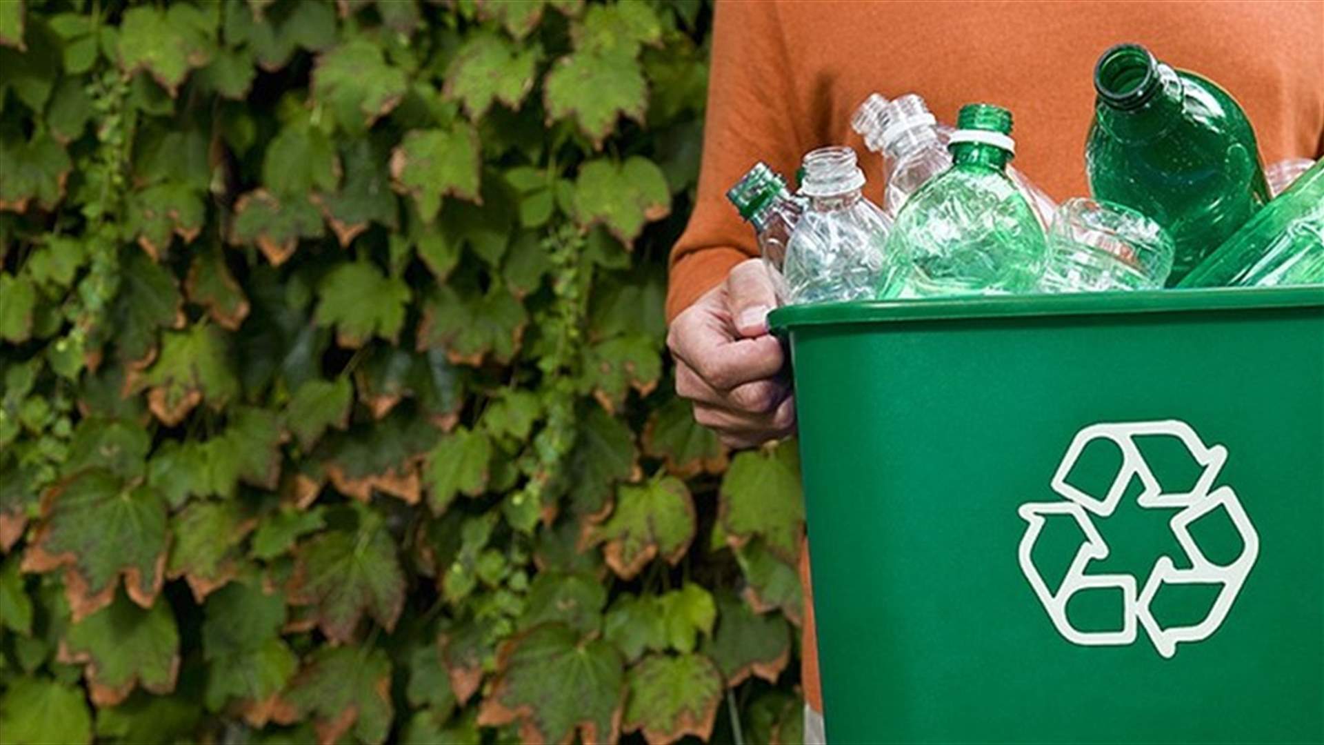 Award winning mobile app promotes recycling in Lebanon - Lebanon News