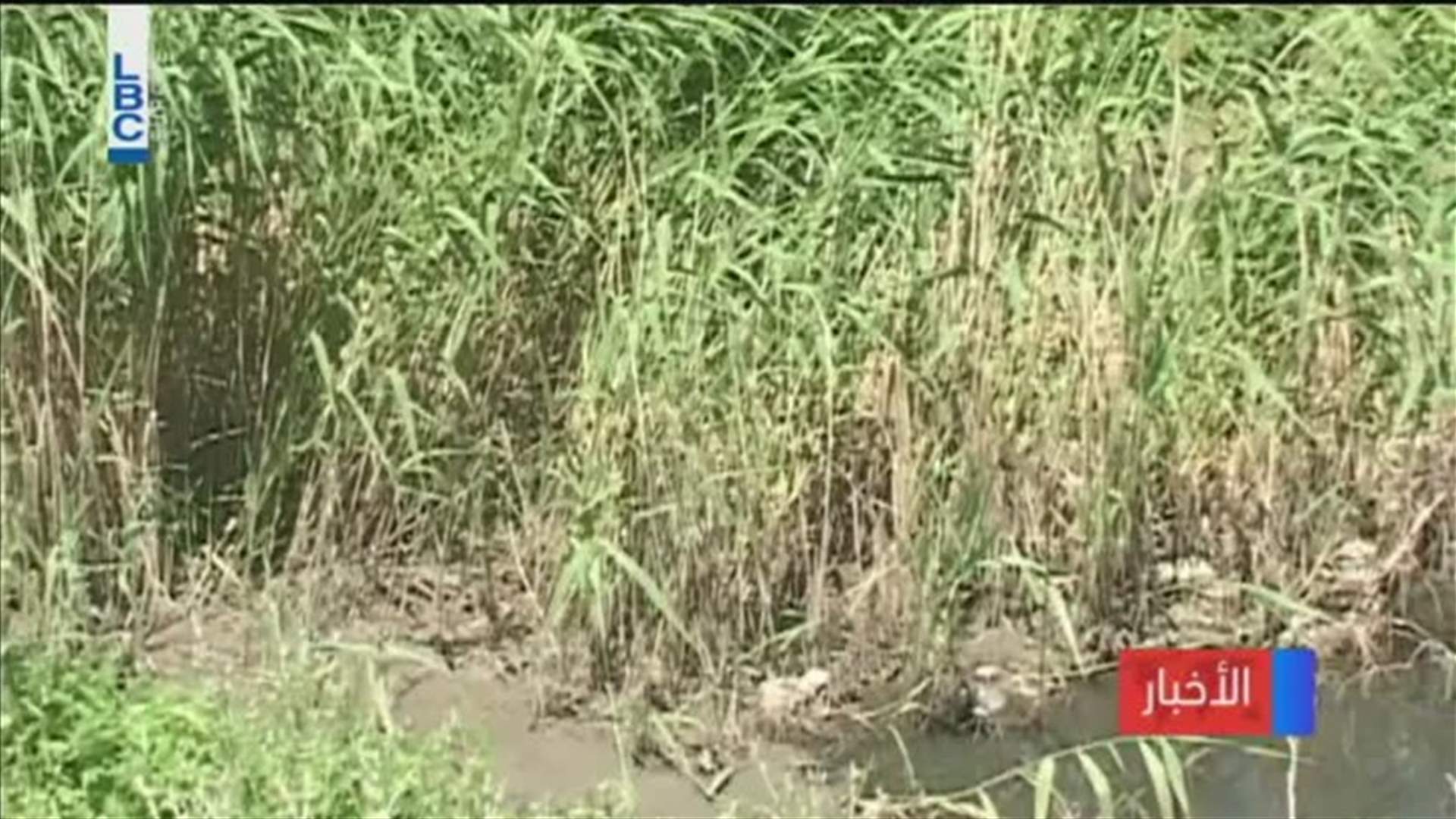 REPORT: Residents of Bar Elias say pollution of Litani River increased ...