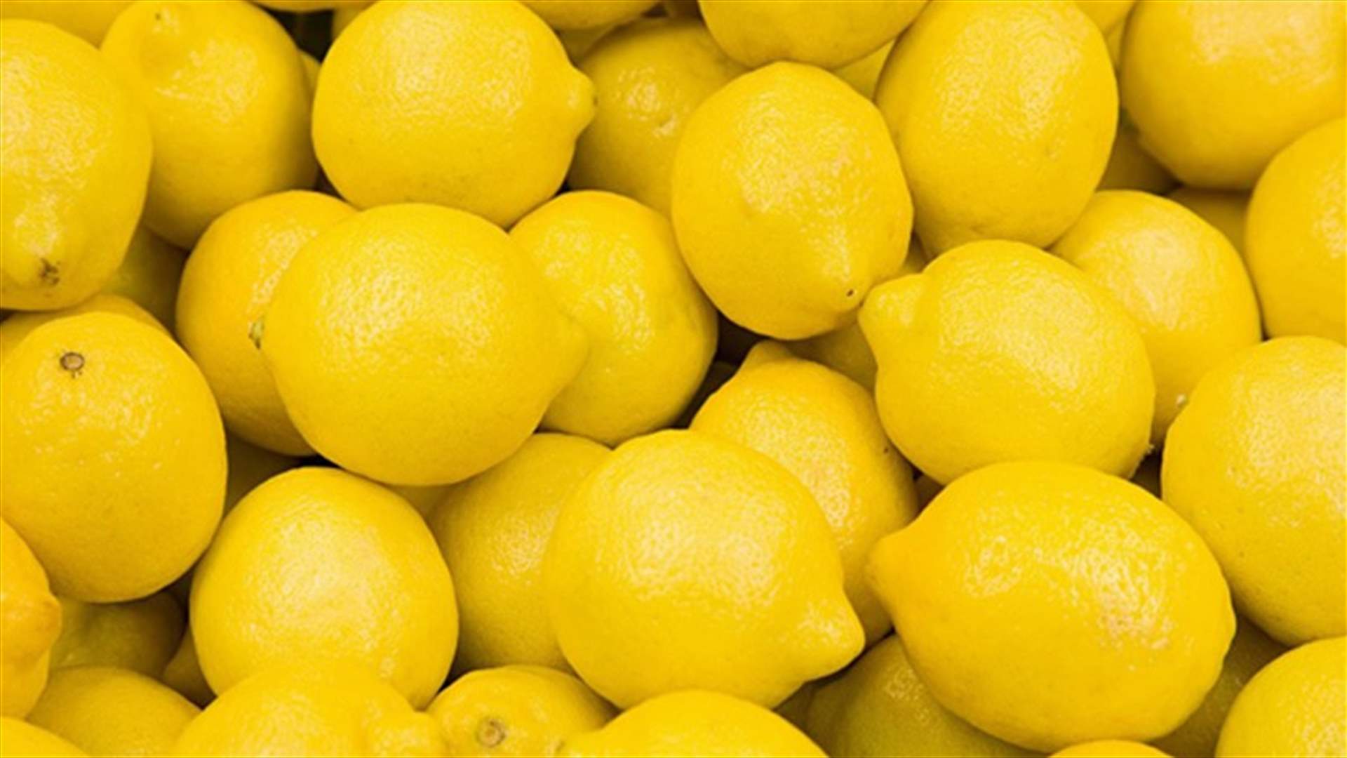 [PHOTO] Breast Cancer Indicators Explained Through Lemons - Lebanon News