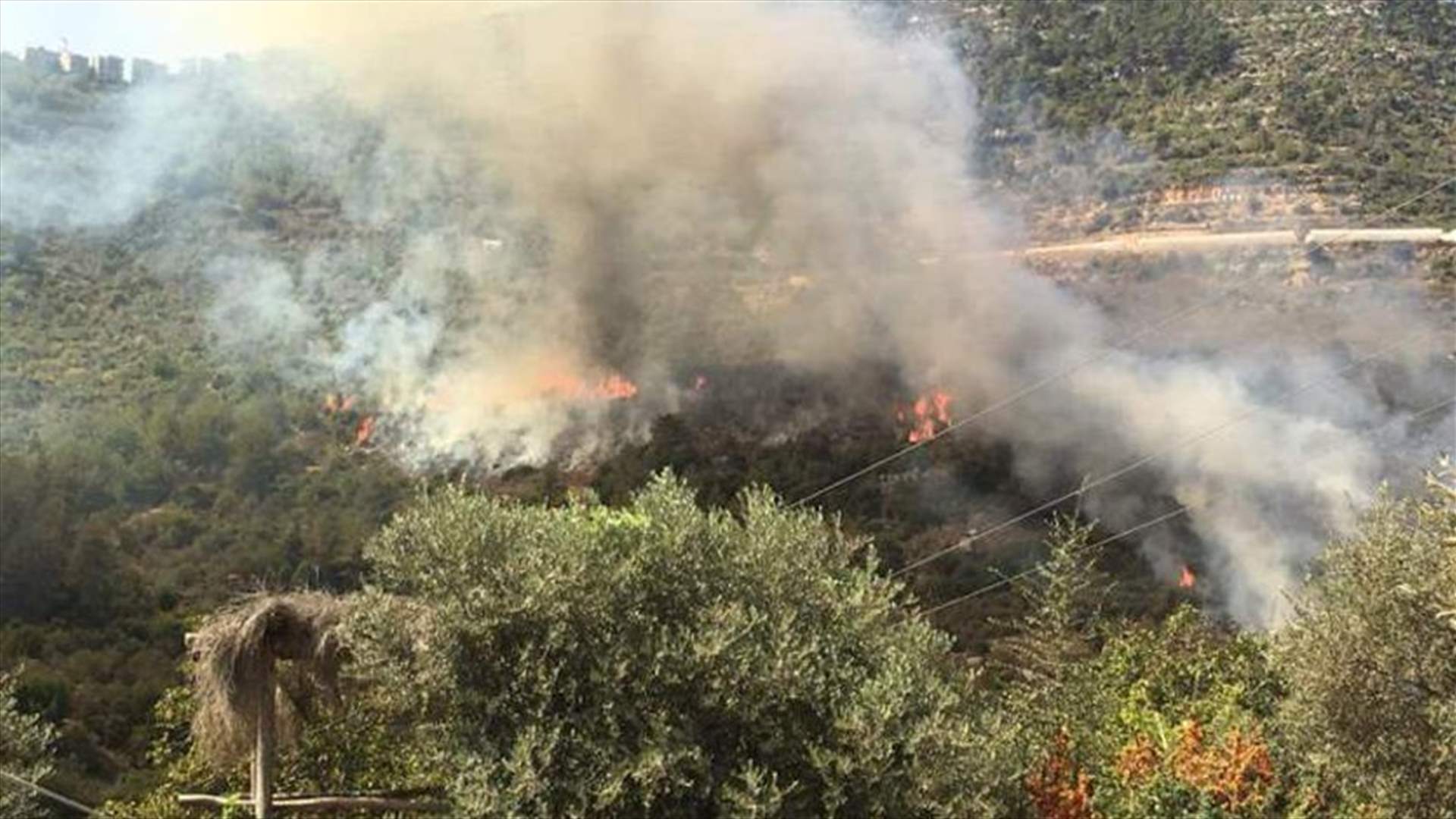 Huge fire erupts in outskirts of Chouf’s al Jahiliyah - Lebanon News