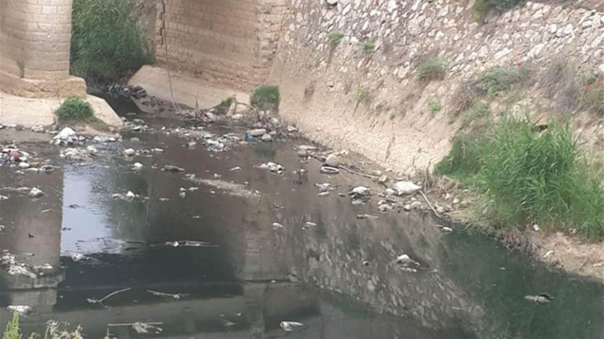 Litani River Authority calls on municipalities to prevent sewage from ...