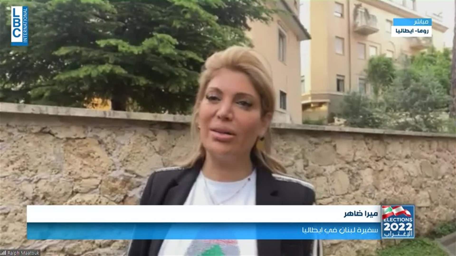 What did Lebanese ambassador to Italy say about the expatriate vote ...