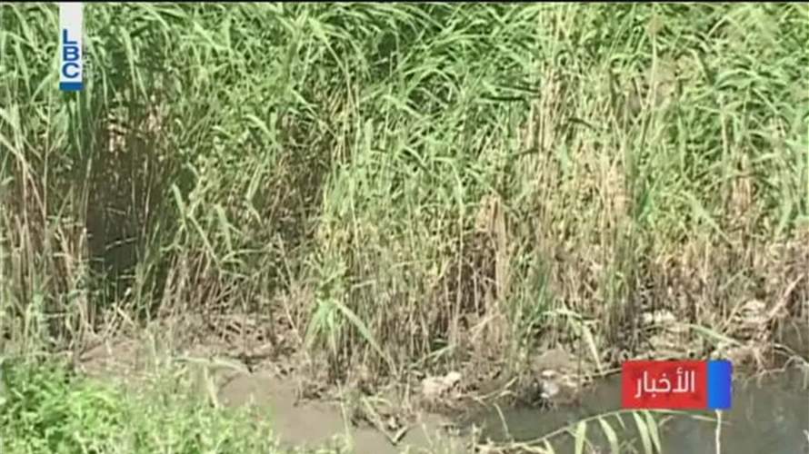 REPORT: Residents of Bar Elias say pollution of Litani River increased ...