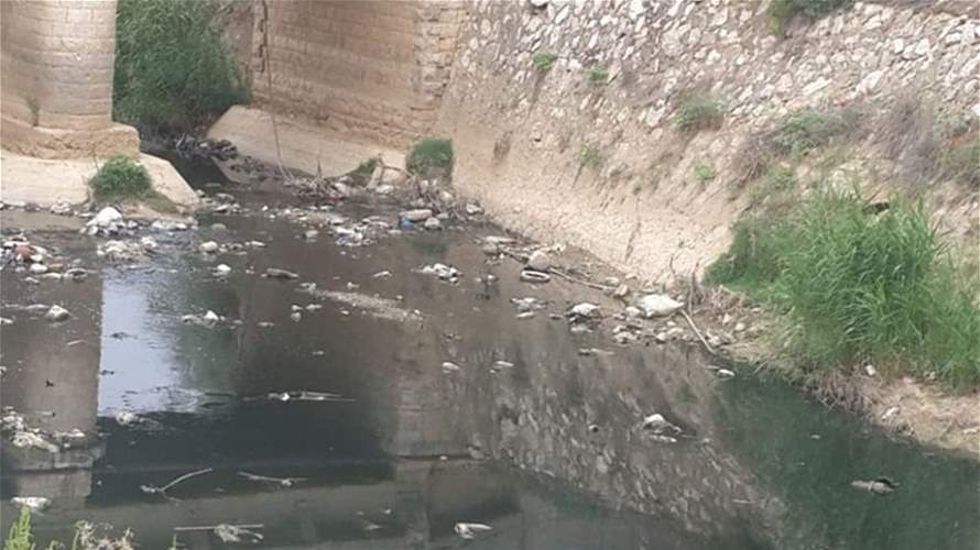 Litani River Authority calls on municipalities to prevent sewage from ...